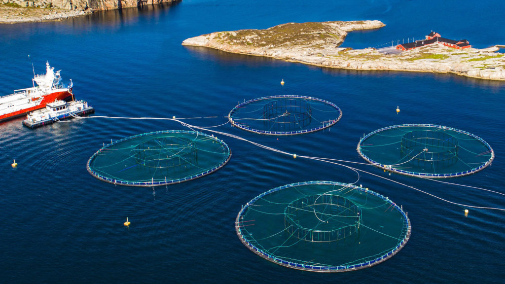 International examples offer US a blueprint for aquaculture regulation ...